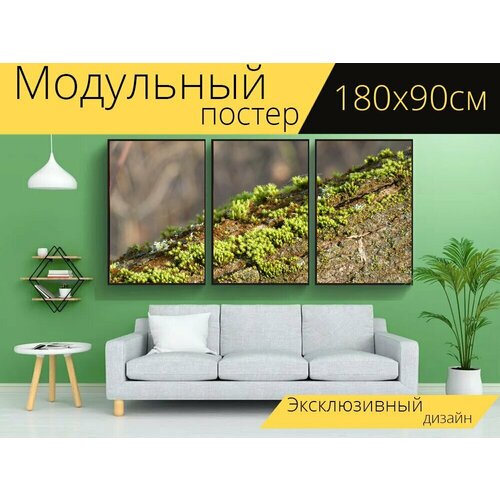 Модульный постер "Мох, трава, древесина" 180 x 90 см. для интерьера