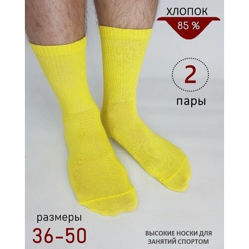 Носки BIZ-ONE, 2 пары, размер 48-50, желтый