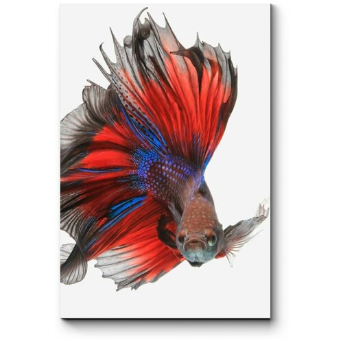 Модульная картина Летающая рыба 30x45
