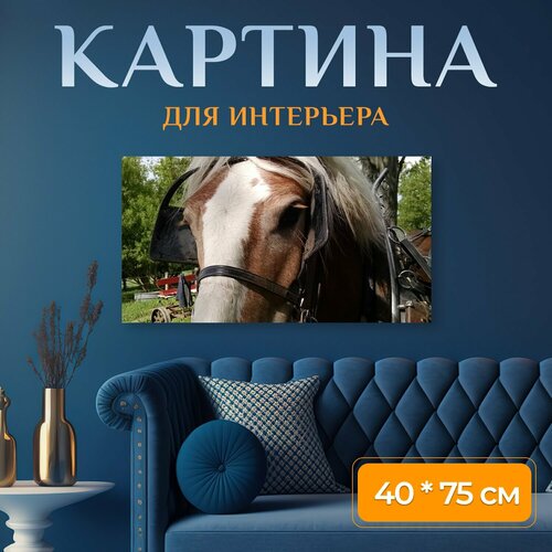 Картина на холсте "Амиш, лошадь, ферма" на подрамнике 75х40 см. для интерьера