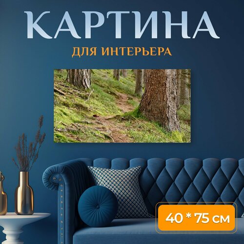 Картина на холсте "Отдых, дорожка, лес" на подрамнике 75х40 см. для интерьера
