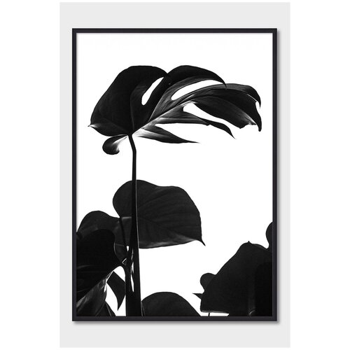 Черно-белый постер на стену для интерьера Postermarkt Листья мостеры, постер в черной рамке 50х70 см, постеры картины для интерьера в черной рамке