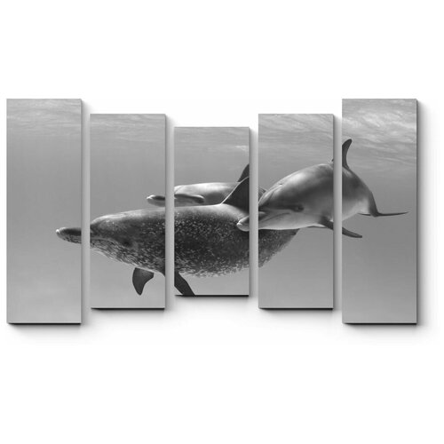 Модульная картина Трио пятнистых дельфинов 90x54