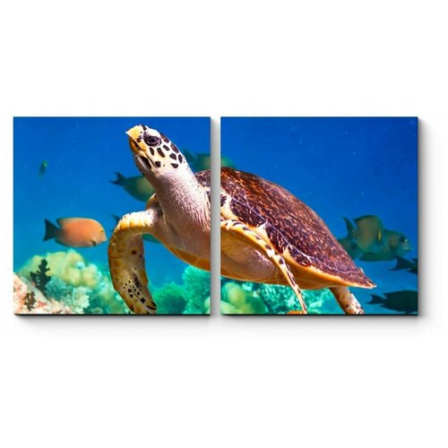 Модульная картина Черепаха в коралловом рифе170x85
