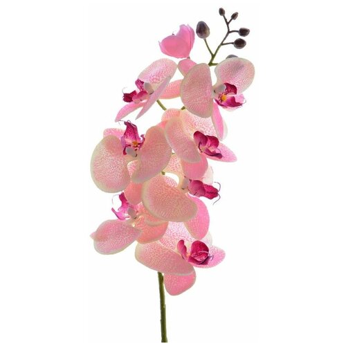 Kaemingk Искусственный цветок Орхидея Jacqueline 77 см 800903