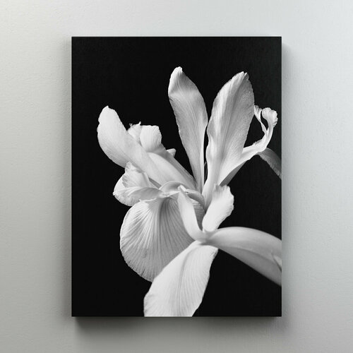 Интерьерная картина на холсте "Цветок ЧБ" минимализм, размер 45x60 см