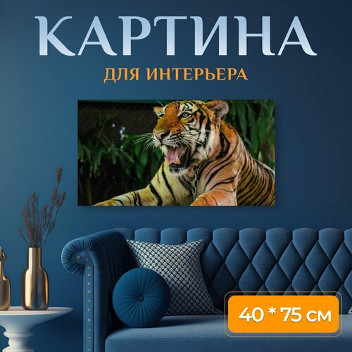 Картина на холсте "Тигр, большой кот, портрет" на подрамнике 75х40 см. для интерьера
