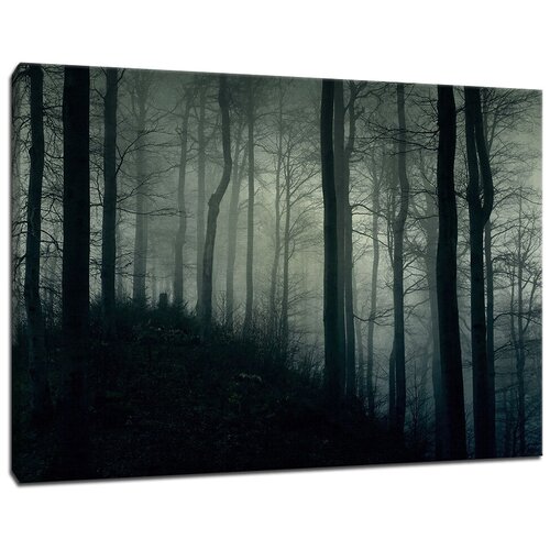 Картина Уютная стена "Загадочный лес" 90х60 см