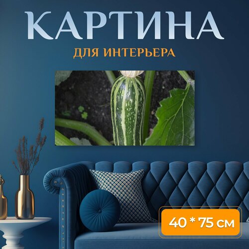 Картина на холсте "Цуккини, овощи, цвести" на подрамнике 75х40 см. для интерьера