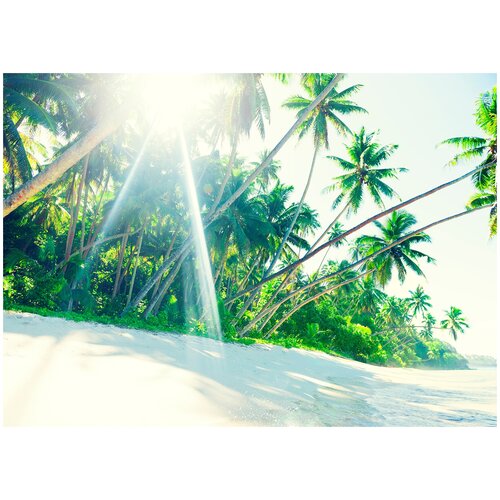 Постер / Плакат / Картина Тропический пляж на Самоа 40х50 см в подарочном тубусе