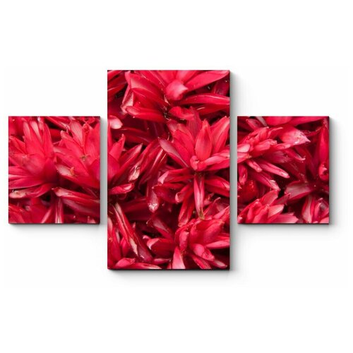 Модульная картина Красные тропические цветы120x78