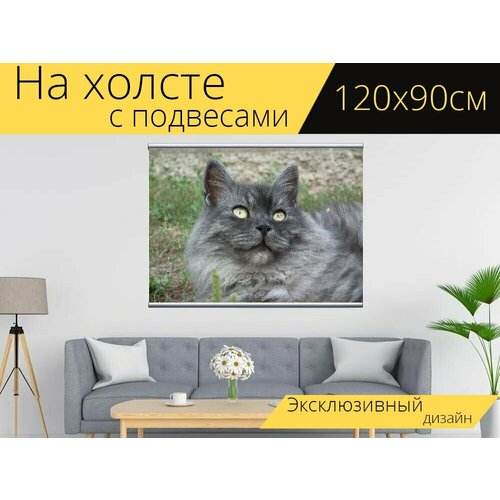 Картина на холсте "Кот, кошка, сибирский" с подвесами 120х90 см. для интерьера