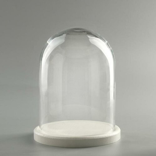 Evis Стеклянный купол-клош на деревянной подставке "Венсан - 1", 20х15 см, белый