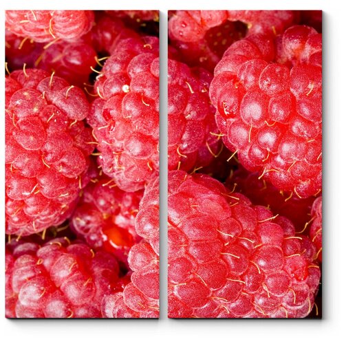 Модульная картина Крупные ягоды малины 40x40