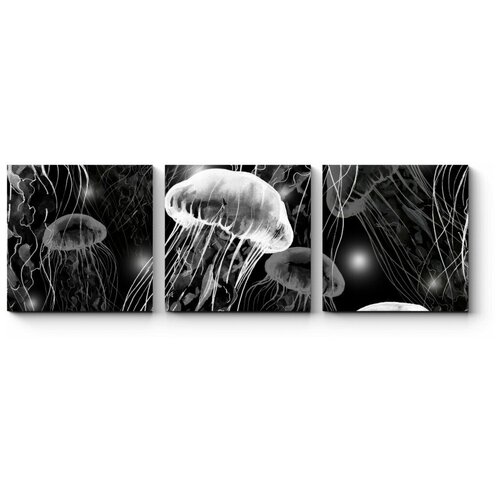 Модульная картина Черно-белые медузы 100x33