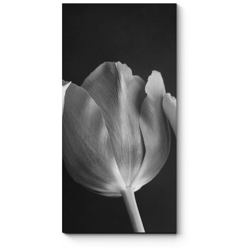 Модульная картина Монохромные тюльпаны 50x100