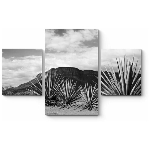 Модульная картина Мексиканский пейзаж 100x65