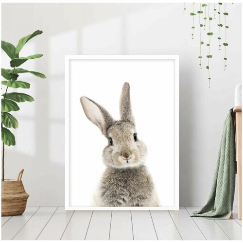 Постер "Кролик" 50*70 в белой раме / Картина / Постеры для интерьера / Плакаты / Рамка