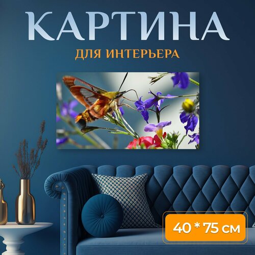 Картина на холсте "Бабочка сфинкс колибри, бабочка, летние цветы" на подрамнике 75х40 см. для интерьера