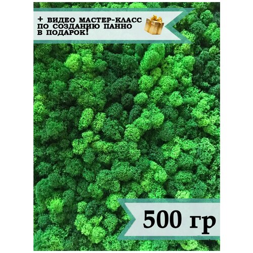 Стабилизированный мох ягель 0,5 кг цвет зеленый. Лесной, природный мох для озеленения, дизайна, декора, флористики