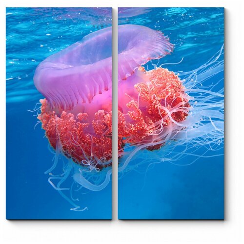 Модульная картина Розовая медуза под водой 50x50