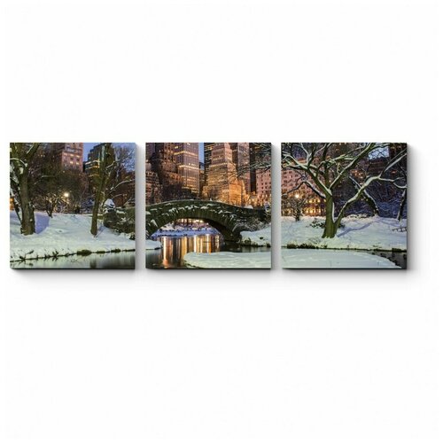 Модульная картина Зимний вид Центрального Парка100x33