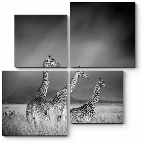 Модульная картина Три жирафа70x70