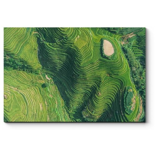 Модульная картина Линии рисовых полей 70x47
