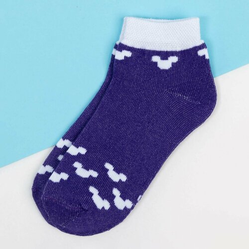 Носки Kaftan размер 14, фиолетовый