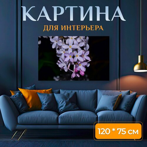 Картина на холсте "Сирень, цветок, блум" на подрамнике 120х75 см. для интерьера