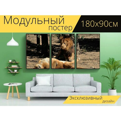 Модульный постер "Лев, львица, плотоядный" 180 x 90 см. для интерьера
