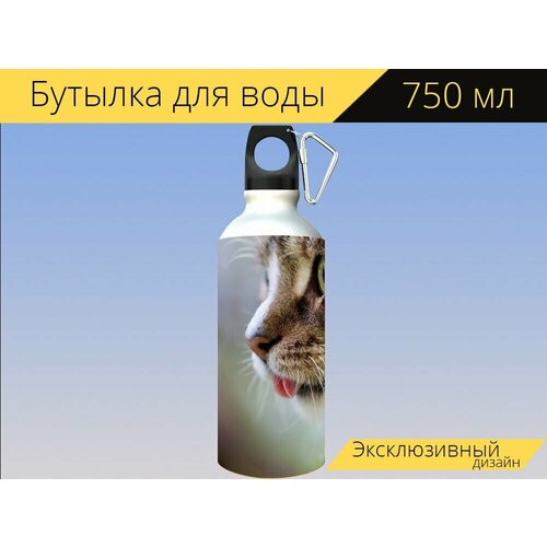Бутылка фляга для воды "Кот, язык кота, кошачьи глаза" 750 мл. с карабином и принтом