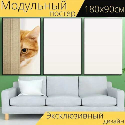 Модульный постер "Кошка, лицо, картон" 180 x 90 см. для интерьера