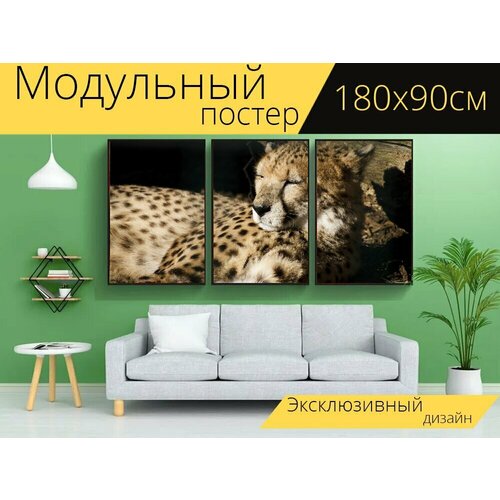 Модульный постер "Гепард, зоопарк, природа" 180 x 90 см. для интерьера