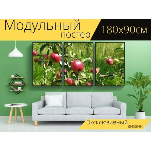 Модульный постер "Декоративные яблоки, яблоко, дерево" 180 x 90 см. для интерьера