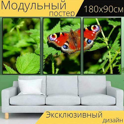 Модульный постер "Бабочка павлиний, бабочка, листья" 180 x 90 см. для интерьера