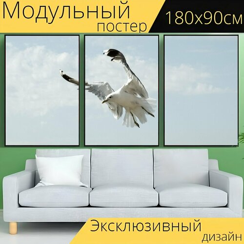 Модульный постер "Чайка, полет, птица" 180 x 90 см. для интерьера