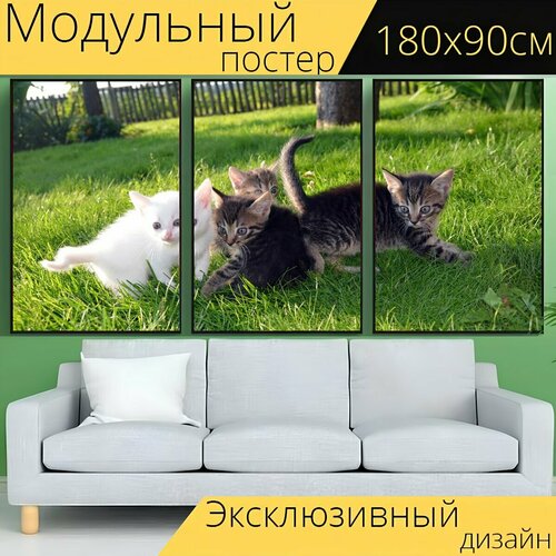 Модульный постер "Кошка, семья, домашний питомец" 180 x 90 см. для интерьера
