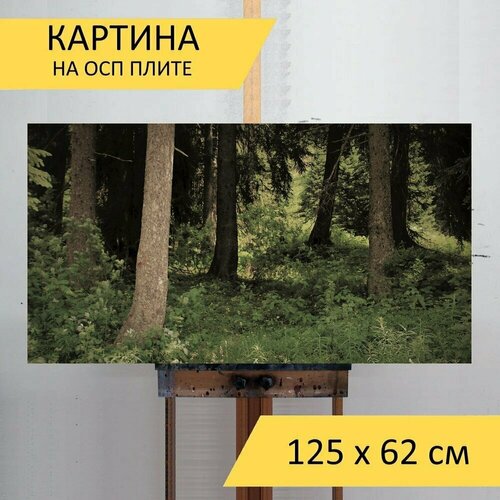 Картина на ОСП 125х62 см. "Хвойные породы, деревья, сосна" горизонтальная, для интерьера, с креплениями