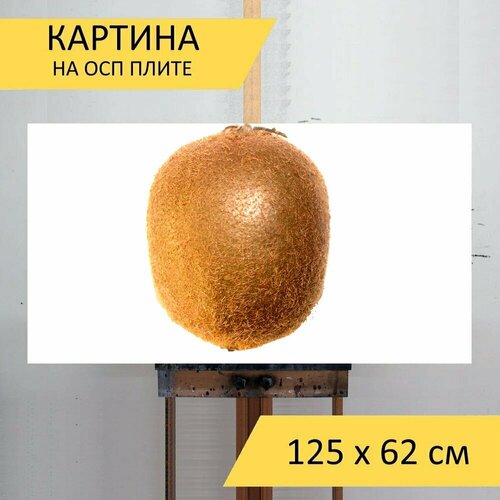 Картина на ОСП 125х62 см. "Киви, фрукты" горизонтальная, для интерьера, с креплениями