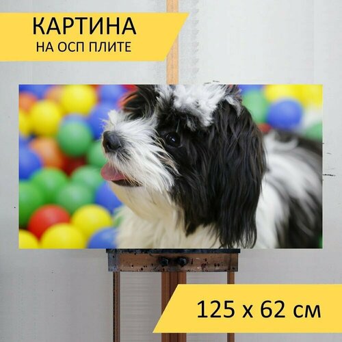 Картина на ОСП 125х62 см. "Собака, щенок, ши тцу" горизонтальная, для интерьера, с креплениями