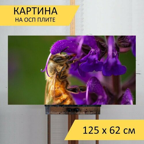 Картина на ОСП 125х62 см. "Шалфей, пчела, цветочная пыльца" горизонтальная, для интерьера, с креплениями