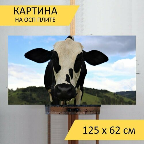 Картина на ОСП 125х62 см. "Корова, телец, лицо" горизонтальная, для интерьера, с креплениями