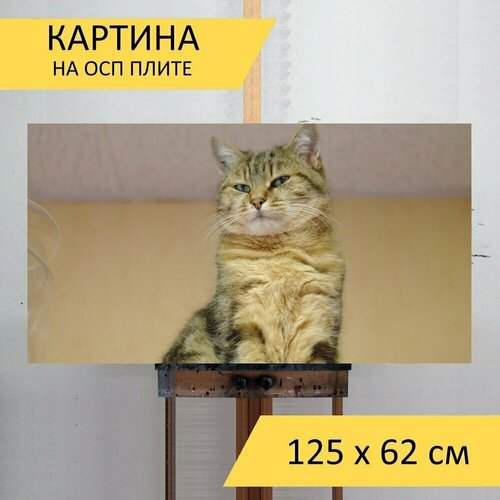 Картина на ОСП 125х62 см. "Кошка, тигр, хищник" горизонтальная, для интерьера, с креплениями