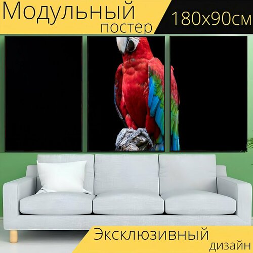 Модульный постер "Птица, попугай, эра" 180 x 90 см. для интерьера
