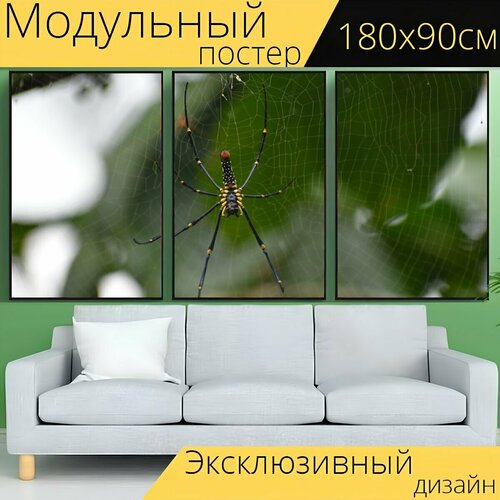 Модульный постер "Паук, сеть, насекомое" 180 x 90 см. для интерьера