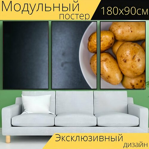 Модульный постер "Картошка, тарелка, овощ" 180 x 90 см. для интерьера