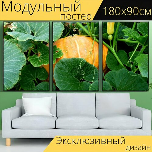 Модульный постер "Овощи, сад, тыква" 180 x 90 см. для интерьера