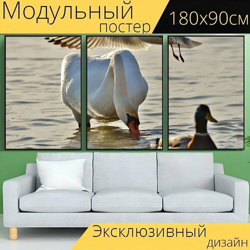 Модульный постер "Лебедь, чайка, утка" 180 x 90 см. для интерьера