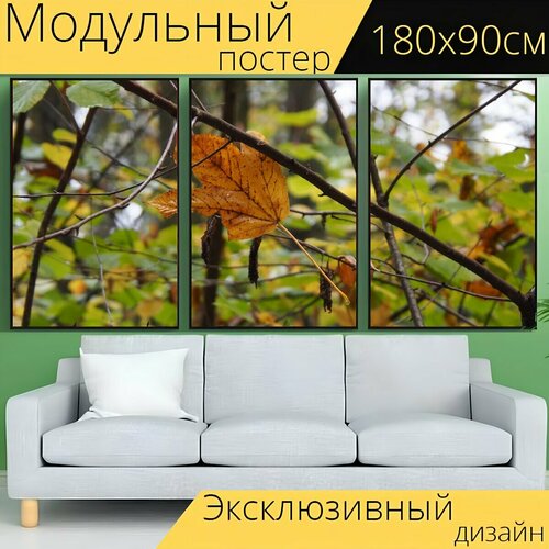 Модульный постер "Листья, падение, осенние листья" 180 x 90 см. для интерьера
